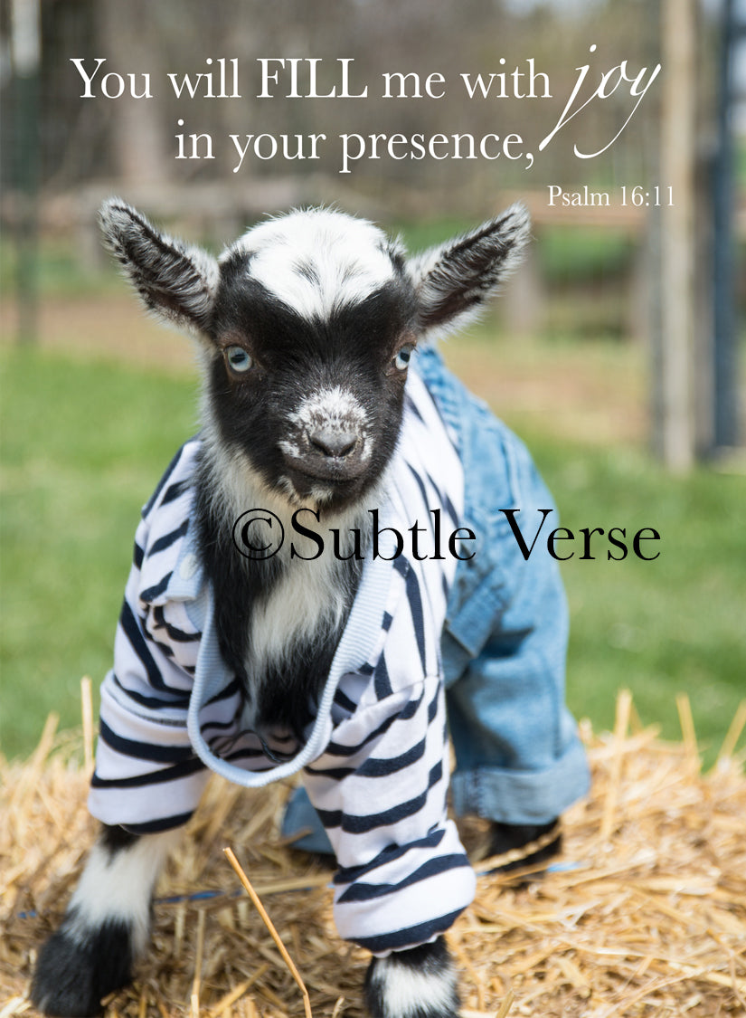 Floppy - Magnet and Deluxe Magnet – Subtle Verse