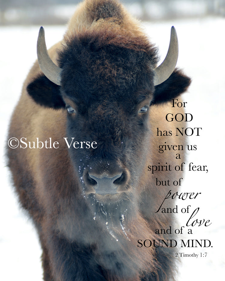 Bison - Ready to Hang Plaque – Subtle Verse