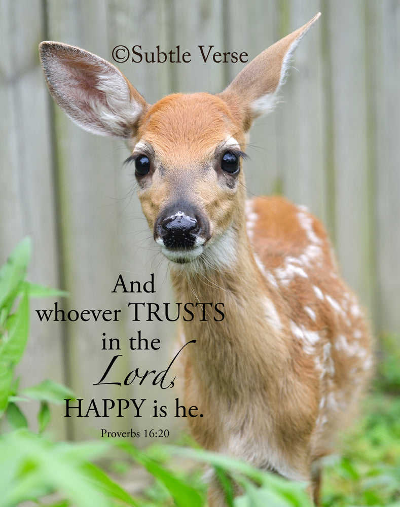 Hope the Deer - Prints – Subtle Verse