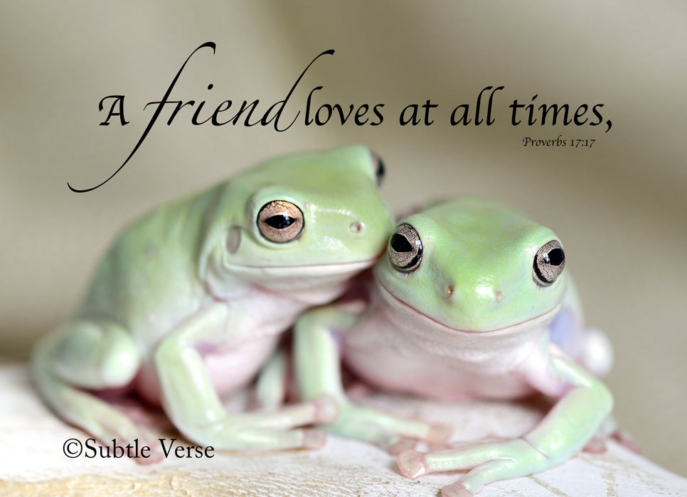 Frog Friends - Magnet and Deluxe Magnet – Subtle Verse